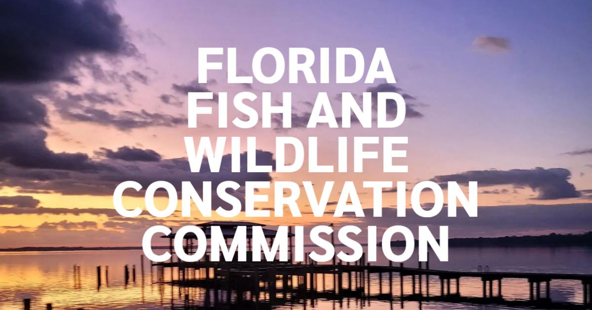 Florida Fish and Wildlife Conservation Commission | Visit Welaka, Florida